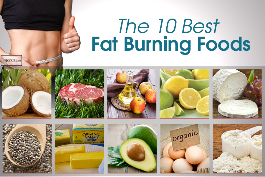 The 10 Best Fat Burning Foods The 10 Best Fat Burning Foods