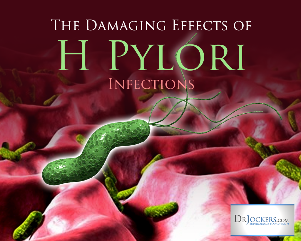 The Damaging Effects of H Pylori Infections - DrJockers.com