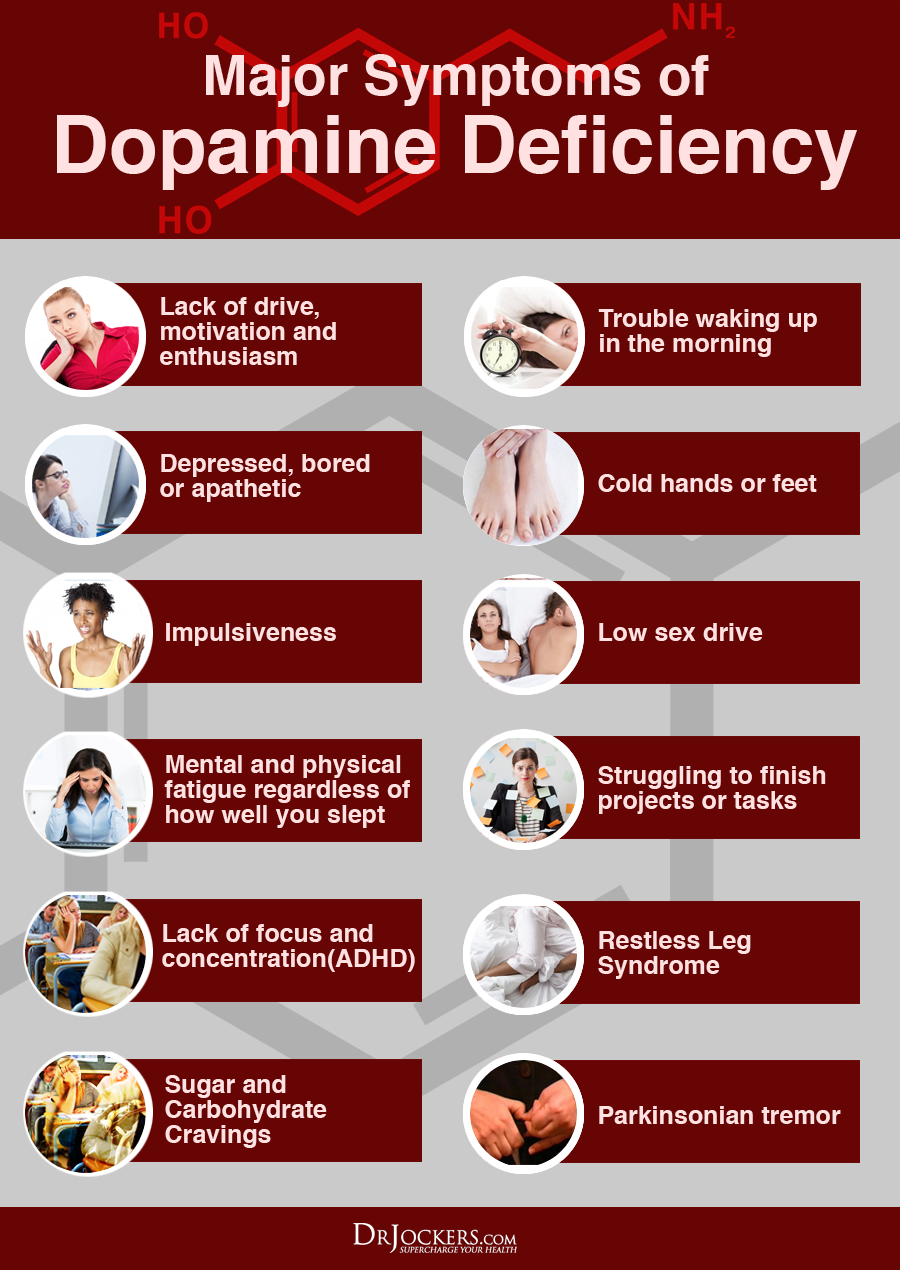 Boost Up Dopamine For Motivation And Focus DrJockers Boost Up Dopamine For Motivation And Focus DrJockers