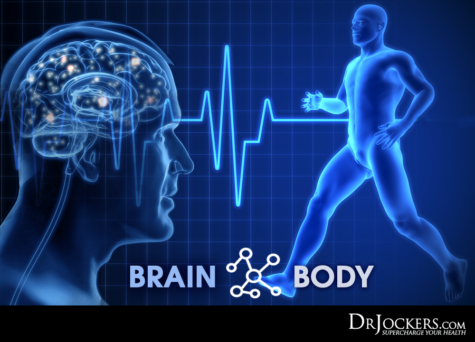 Chiropractic Improves Brain Function - DrJockers.com