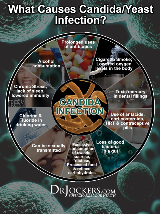 5 Crucial Steps to Heal Candida Naturally - DrJockers.com
