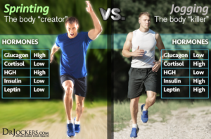 Strengthen Your Body and Mind with Surge Training