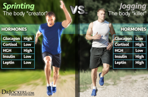 Strengthen Your Body and Mind with Surge Training