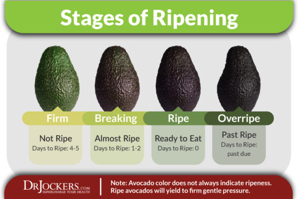 3 Big Reasons to Eat Avocados Everyday - DrJockers.com