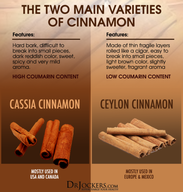 What is the Best Cinnamon to Use? - DrJockers.com