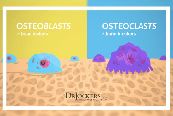 The Top 5 Nutrients for Healthy Bones - DrJockers.com