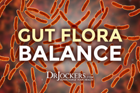 Gut Flora Balance is Key to Health - DrJockers.com