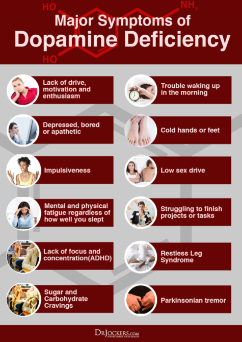 6 Great Foods That Increase Dopamine Levels - DrJockers.com