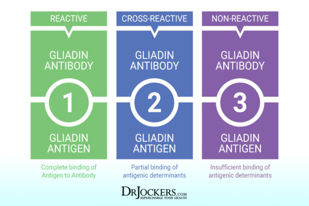 Gluten Sensitivity and Your Brain Health - DrJockers.com