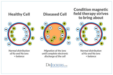 The Health Benefits of Bio Magnetic Therapy - DrJockers.com
