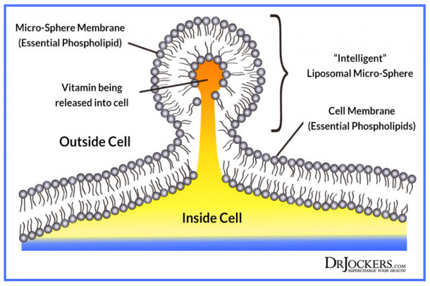 The Remarkable Health Benefits of Liposomal Vitamin C