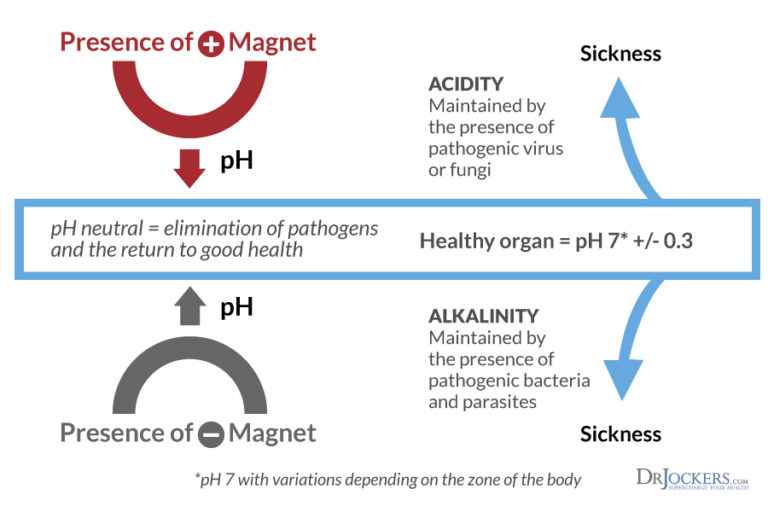 The Health Benefits of Bio Magnetic Therapy - DrJockers.com