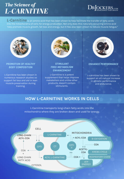 Carnitine: Top 3 Anti-Aging Benefits of This Super Nutrient