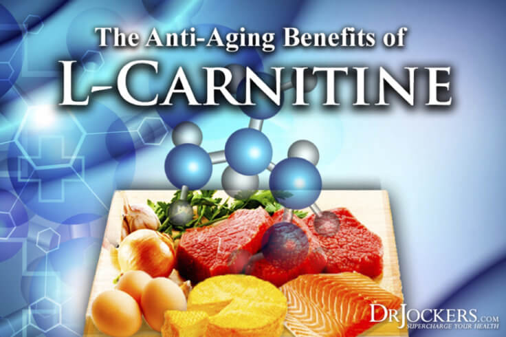 Carnitine: Top 3 Anti-Aging Benefits of This Super Nutrient