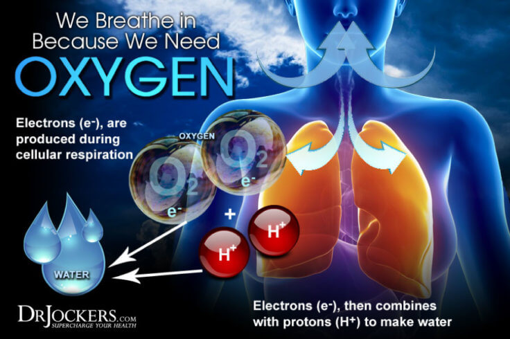 The Revitalizing Power of Breathing - DrJockers.com