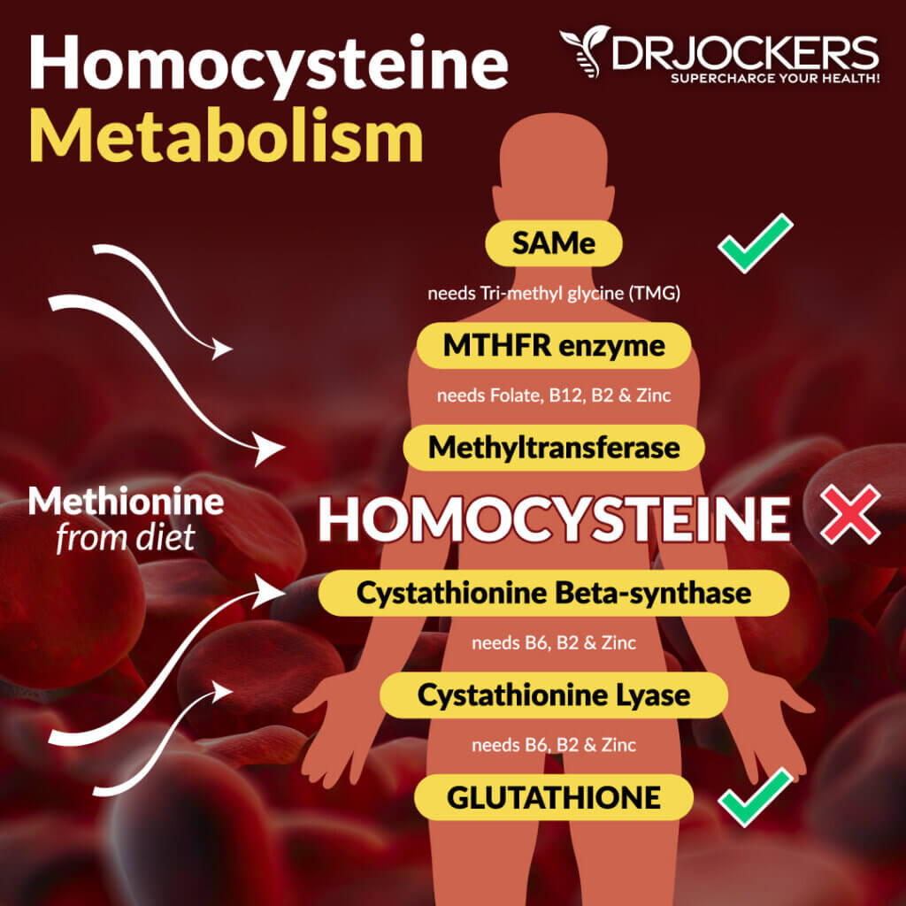What are Your Homocysteine Levels? - DrJockers.com