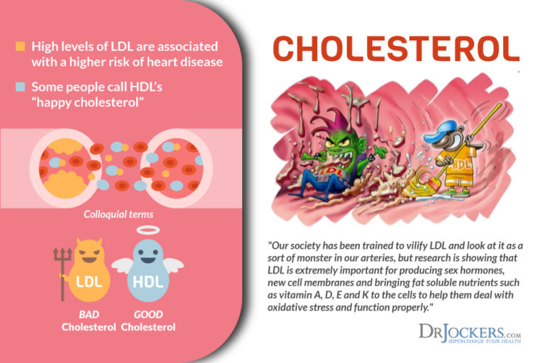 High Cholesterol on a Ketogenic Diet - DrJockers.com