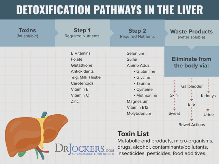 4 Ways to Improve Liver Health Naturally - DrJockers.com