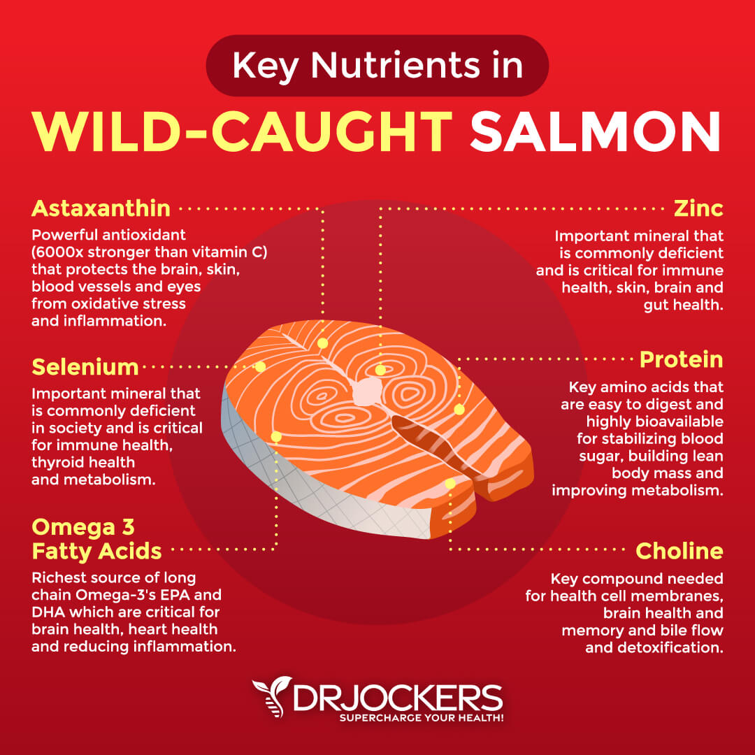 Biblical Nutrition: Top 13 Bible Foods and Their Health Benefits