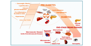 The Complete Diabetes Panel - DrJockers.com