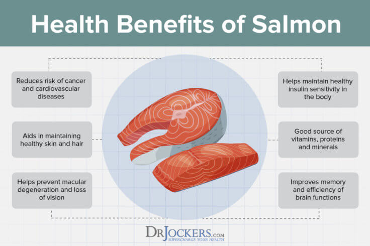 9 Health Benefits of Eating Salmon For Your Brain and Body