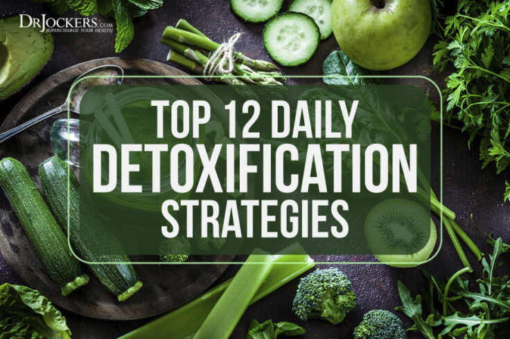 Top 12 Daily Detoxification Strategies To Apply in Your Life