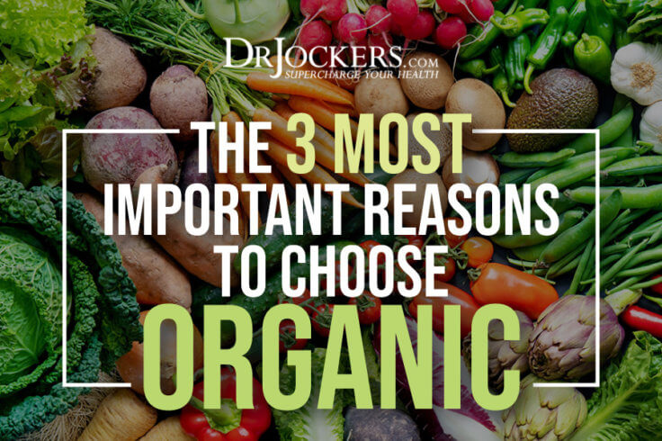 The 3 Most Important Reasons to Eat Organic - DrJockers.com