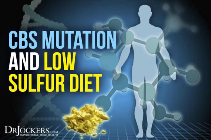CBS Mutation and Low Sulfur Diet - DrJockers.com