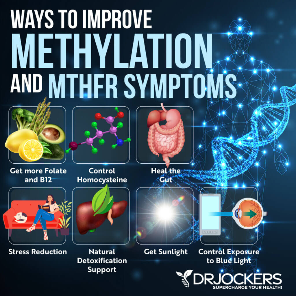 Understanding the Role of Methylation in Human Health