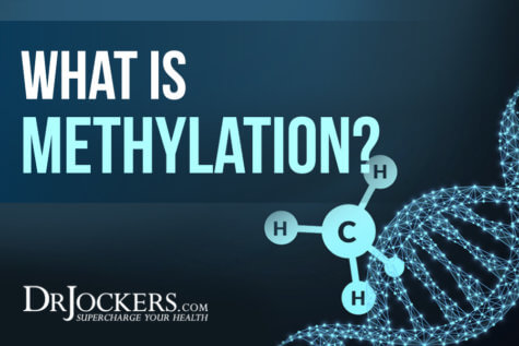 Understanding the Role of Methylation in Human Health