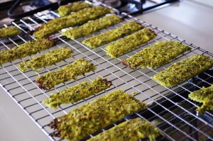 Italian Broccoli Flat Bread Recipe - DrJockers.com