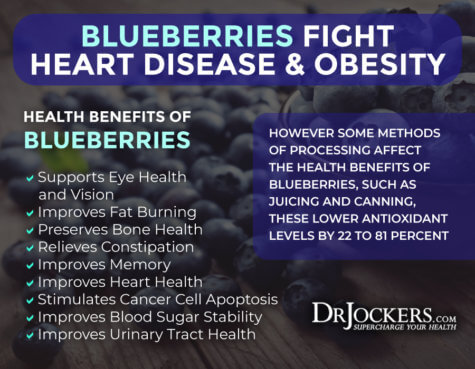 9 Ways Blueberries Boost Brain Function - DrJockers.com