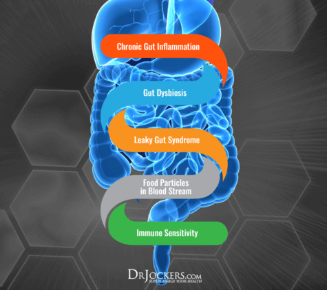 Are You Destroying Your Digestive System? - DrJockers.com