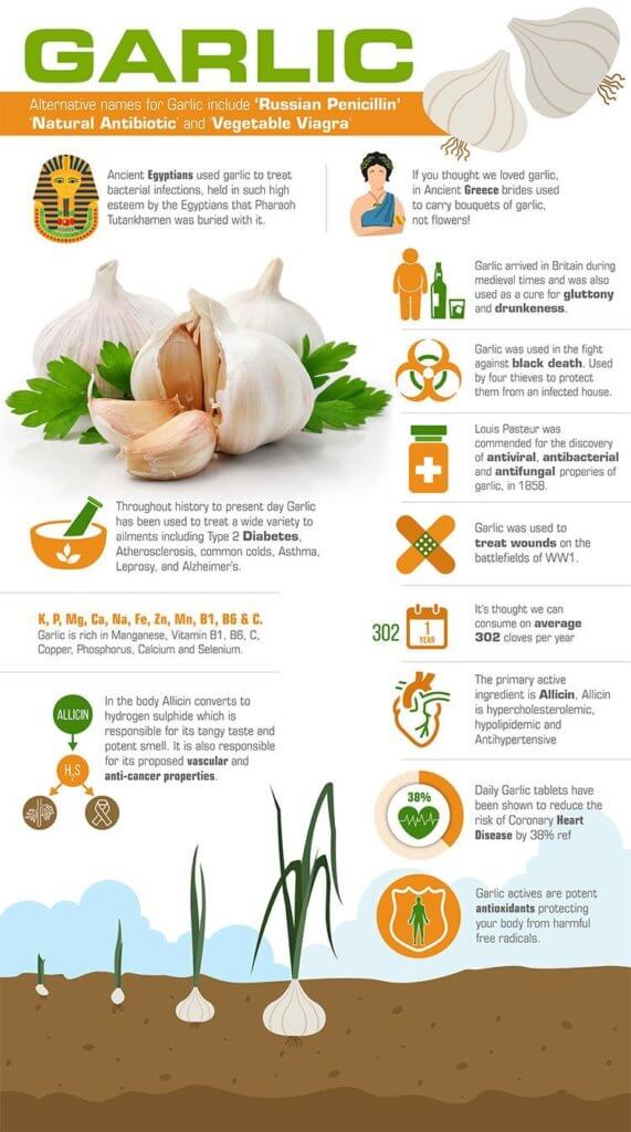 6 Ways to Use Garlic to Improve Your Life - DrJockers.com