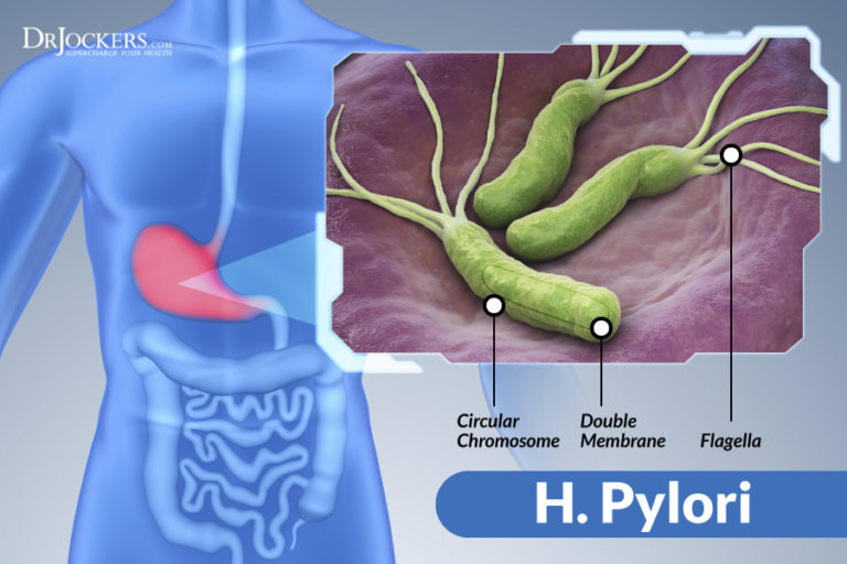 The Damaging Effects of H Pylori Infections - DrJockers.com