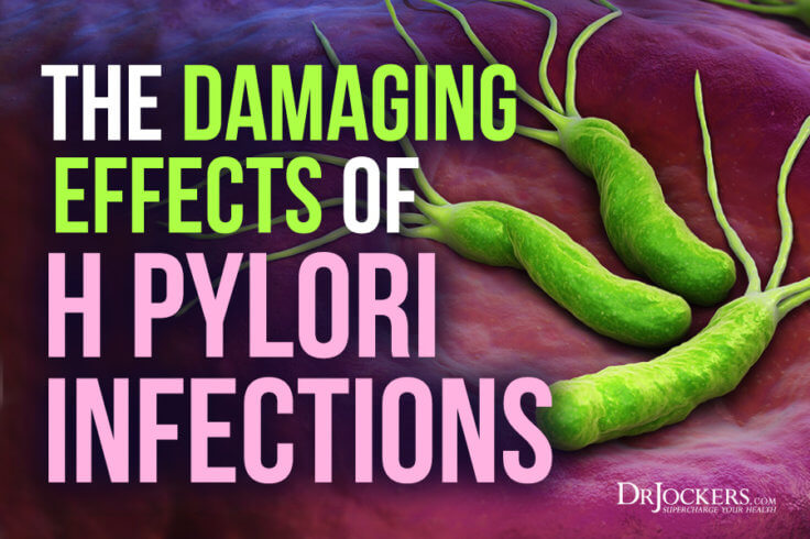 The Damaging Effects of H Pylori Infections - DrJockers.com