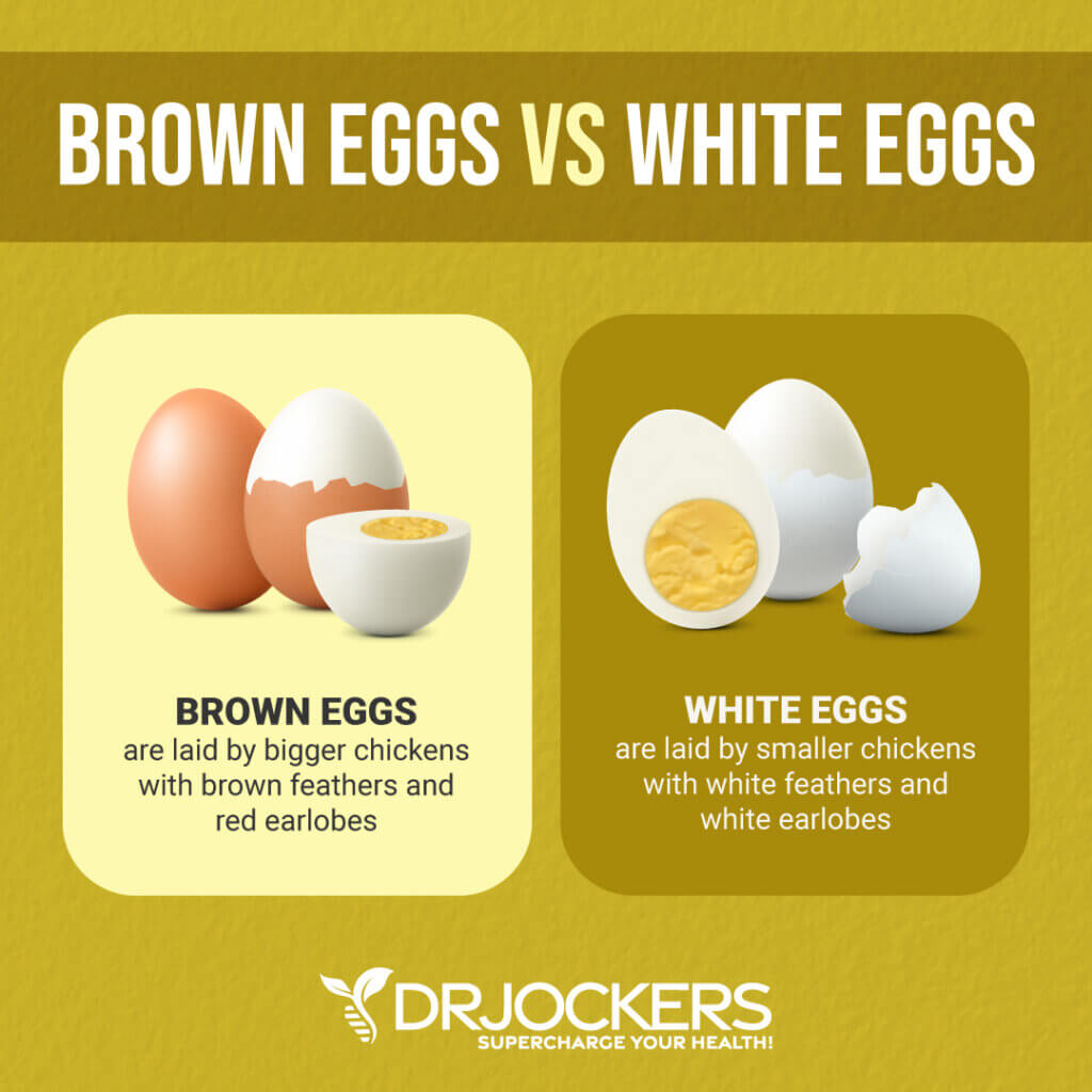 10 Key Health Benefits of Eggs in Your Diet - DrJockers.com