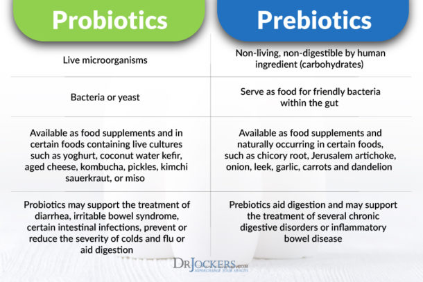 The Top 33 Prebiotic Foods for Your Digestive System