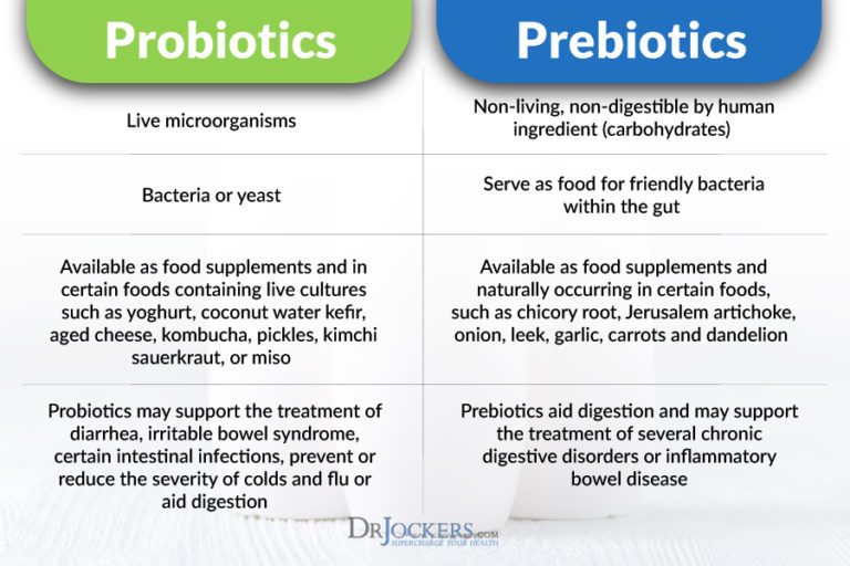 The Top 33 Prebiotic Foods for Your Digestive System