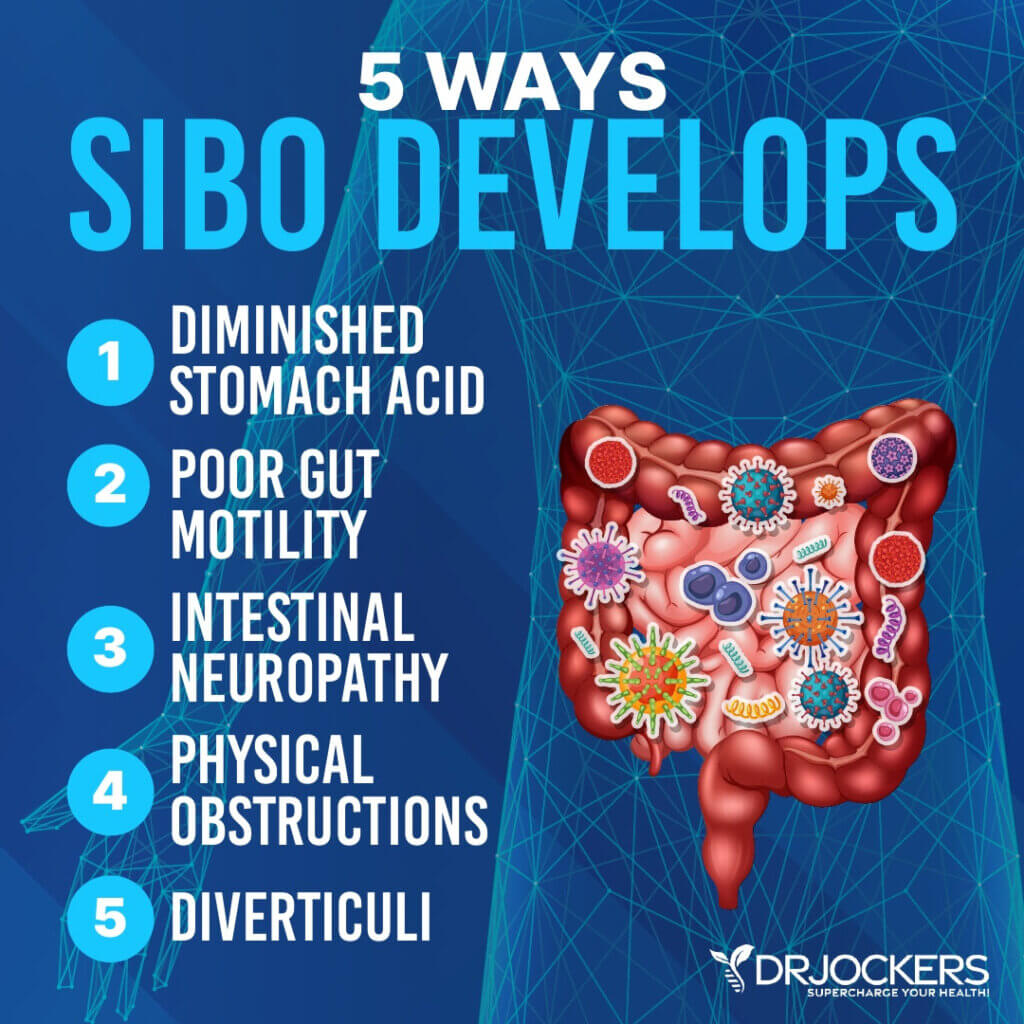 SIBO: Symptoms, Causes and Natural Support Strategies