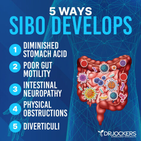 SIBO: Symptoms, Causes and Natural Support Strategies