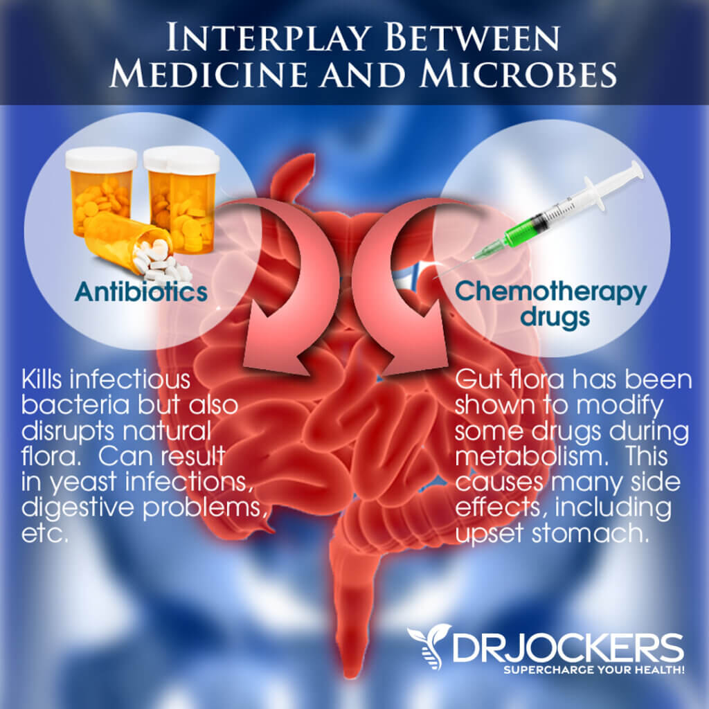 SIBO: Symptoms, Causes and Natural Support Strategies