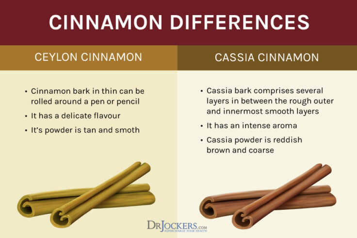What is the Best Cinnamon to Use? - DrJockers.com