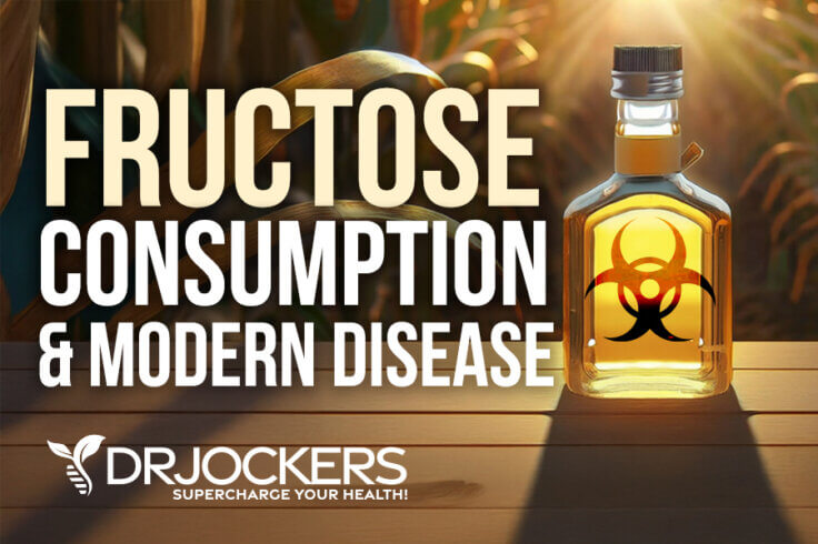 Fructose Consumption & Modern Disease - DrJockers.com