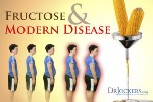 Fructose Consumption & Modern Disease - DrJockers.com
