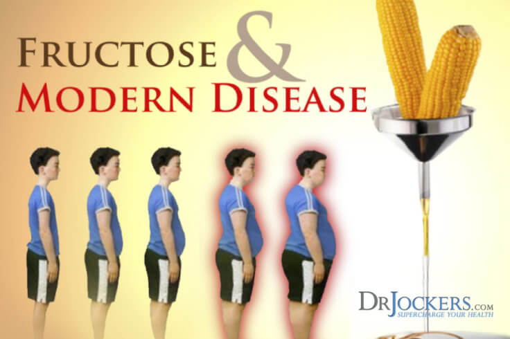 Fructose Consumption & Modern Disease - DrJockers.com