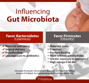 Is Your Gut Bacteria Making You Fat? - DrJockers.com