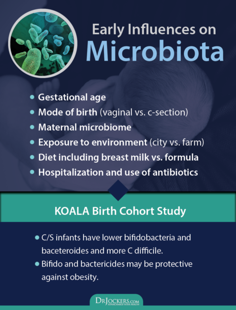 Is Your Gut Bacteria Making You Fat? - DrJockers.com