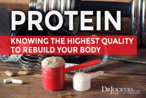 The Highest Quality Protein to Rebuild Your Body - DrJockers.com
