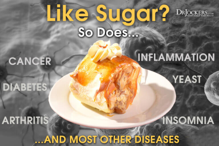 The Destructive Sugar Impact on the Body - DrJockers.com
